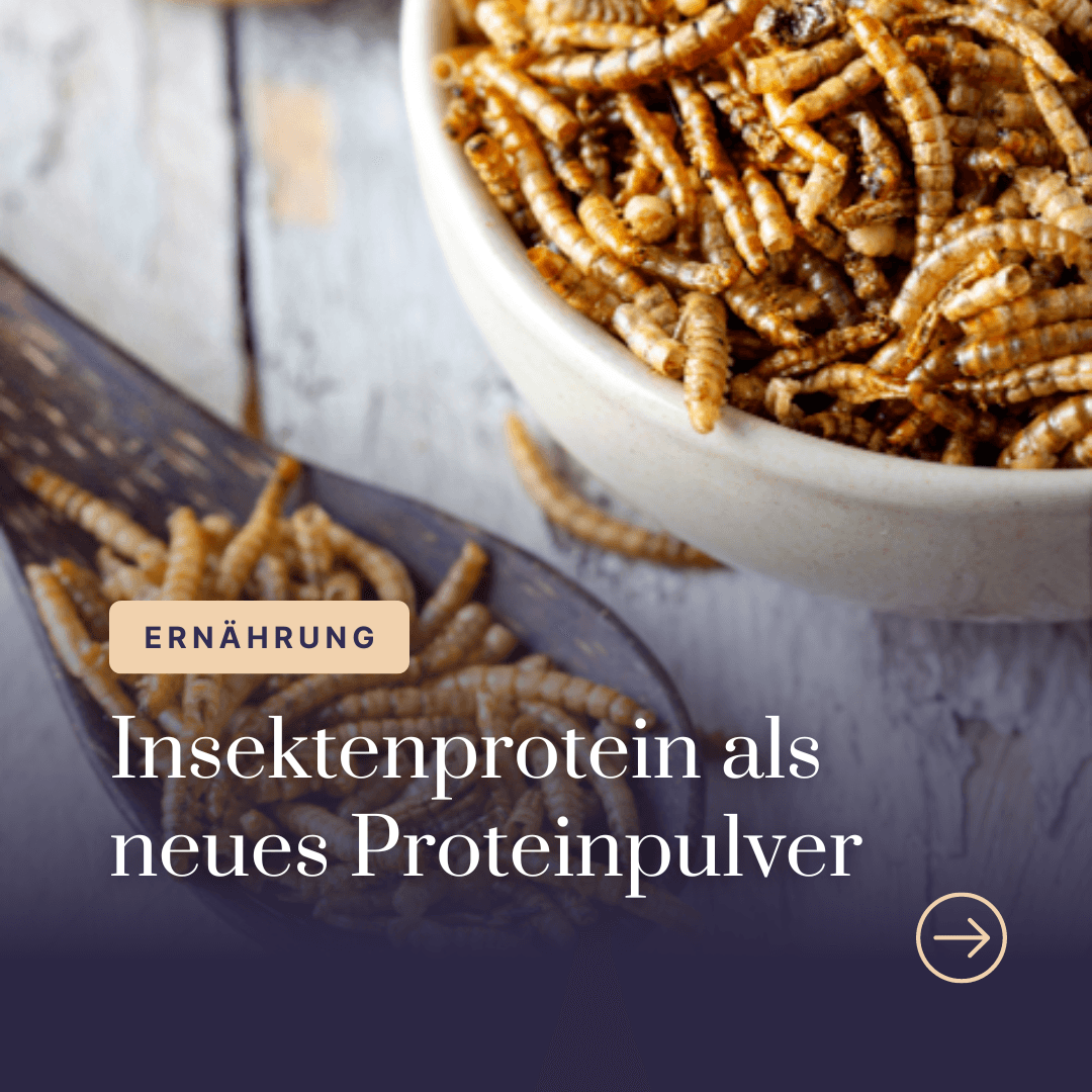 Insektenprotein: die unübliche neue Eiweißquelle